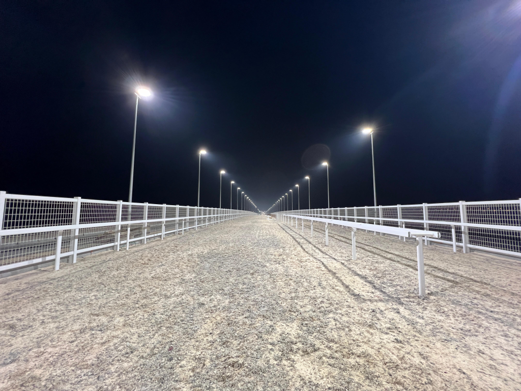 Qatar racing track field light for horse | Green Light